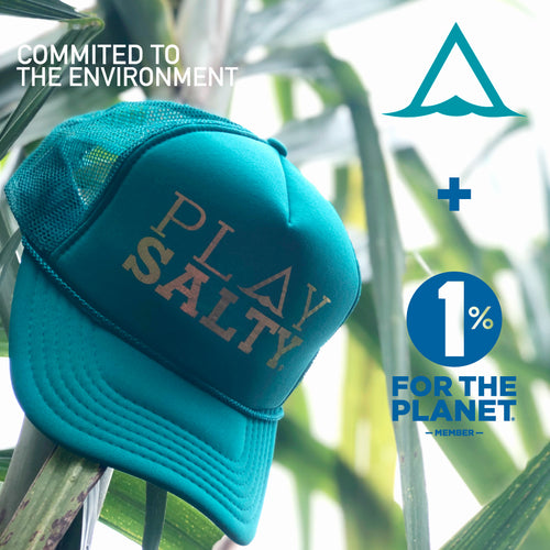 About | PLAY SALTY